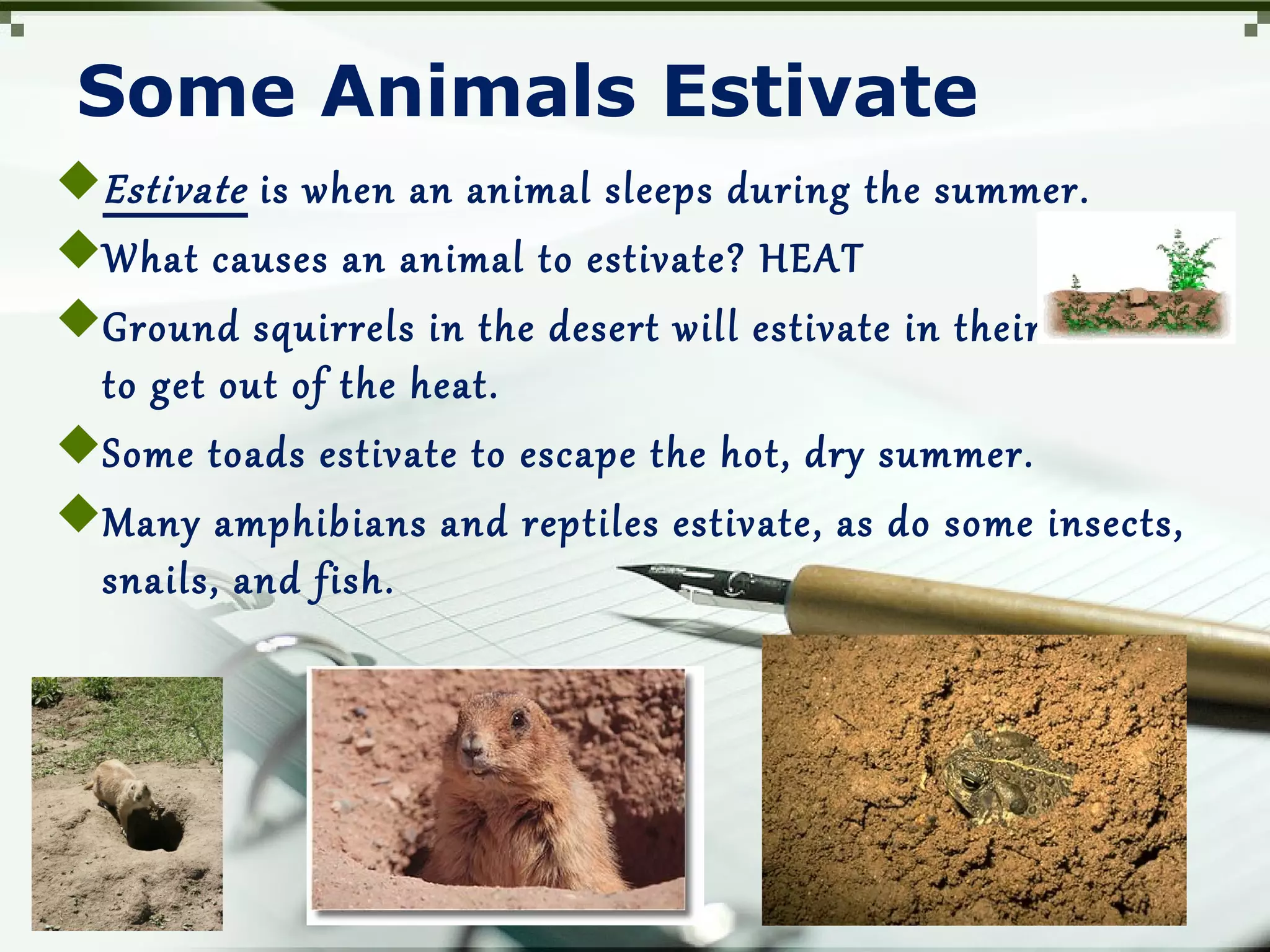 Habitats for plants and animals | PPT