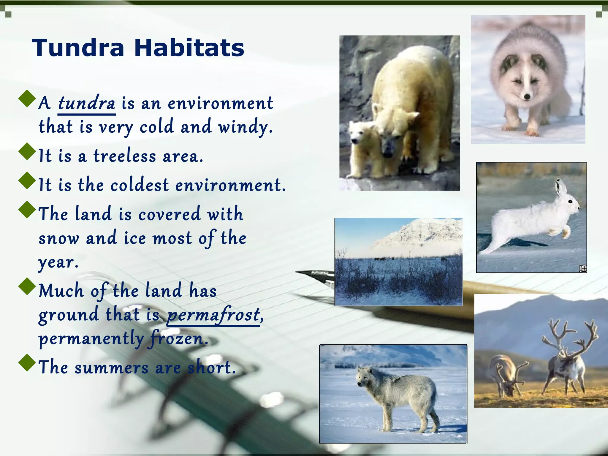 Habitats for plants and animals | PPT