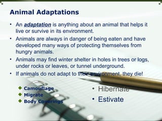 Habitats for plants and animals | PPT