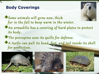 Habitats for plants and animals | PPT