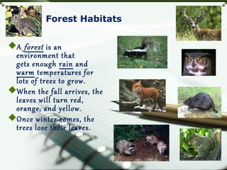 Habitats for plants and animals | PPT