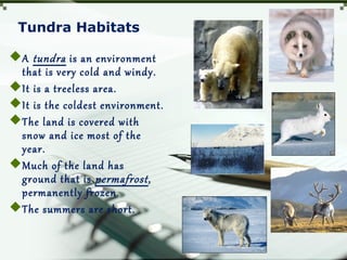 Habitats for plants and animals | PPT