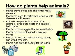 Habitats for plants and animals | PPTX