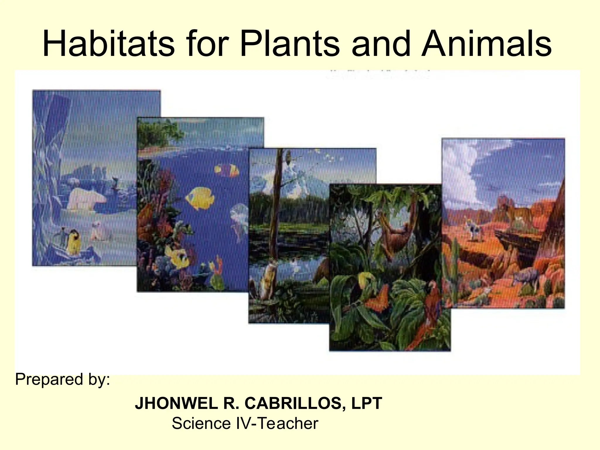 habitats for plants and animals.power point | PPT
