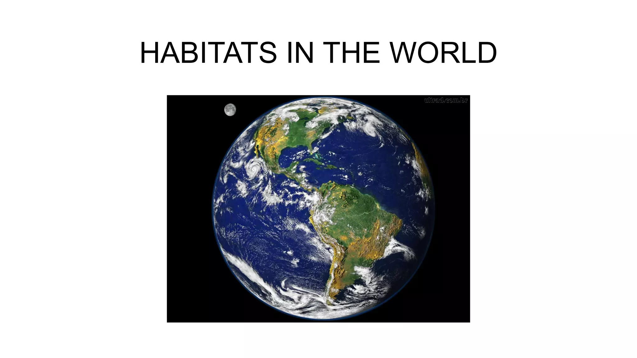 Habitats in the world | PDF