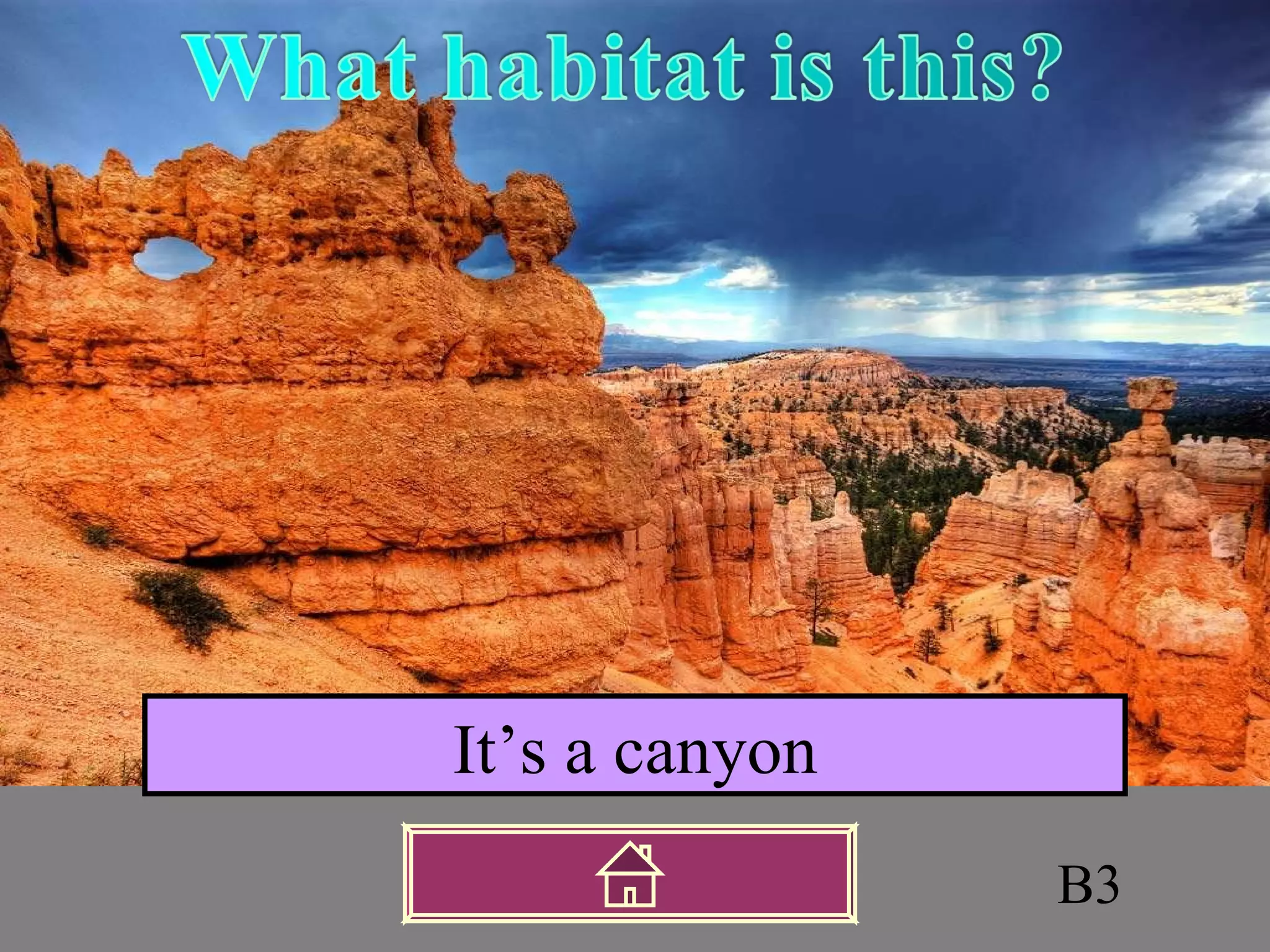 Habitats jeopardy | PPT