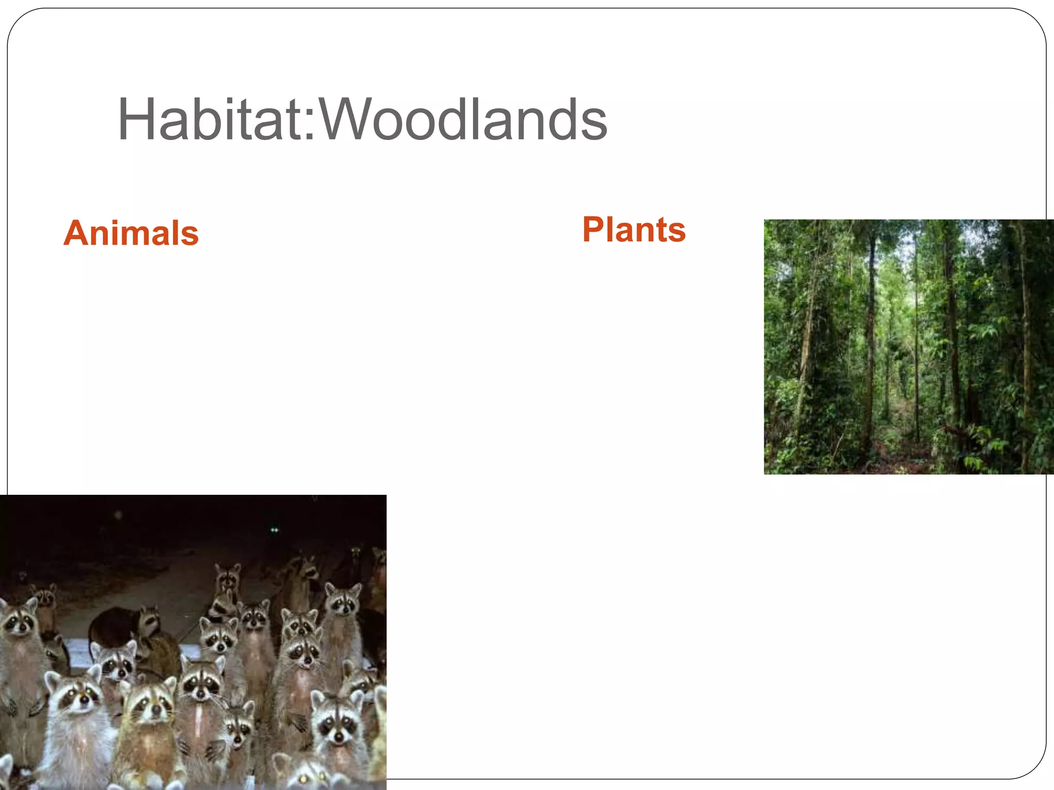 TOLLAND HABITATS | PPTX