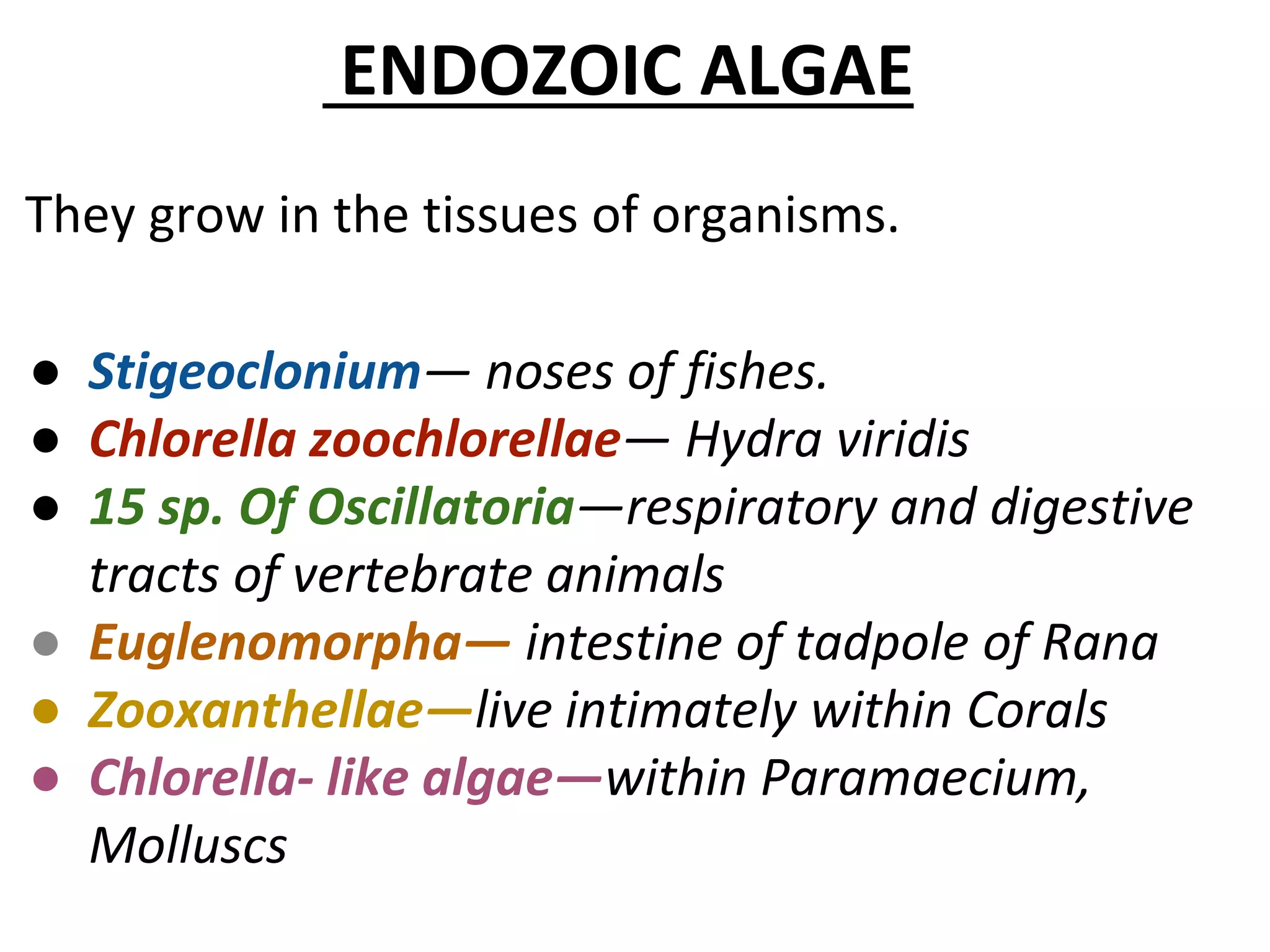 Habitats of algae.pptx