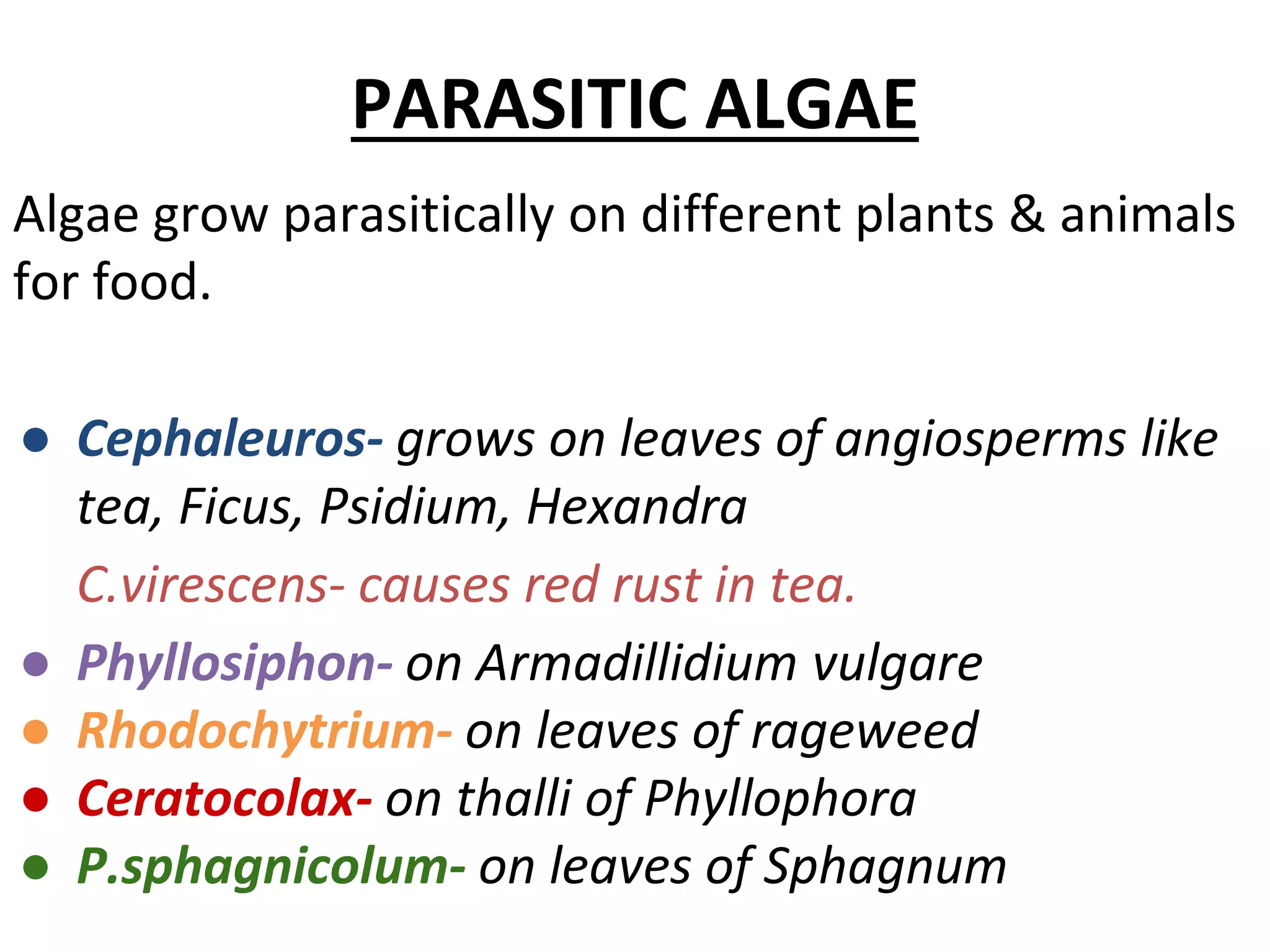 Habitats of algae.pptx