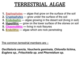 Habitats of algae.pptx