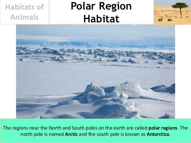 Habitats of Animals