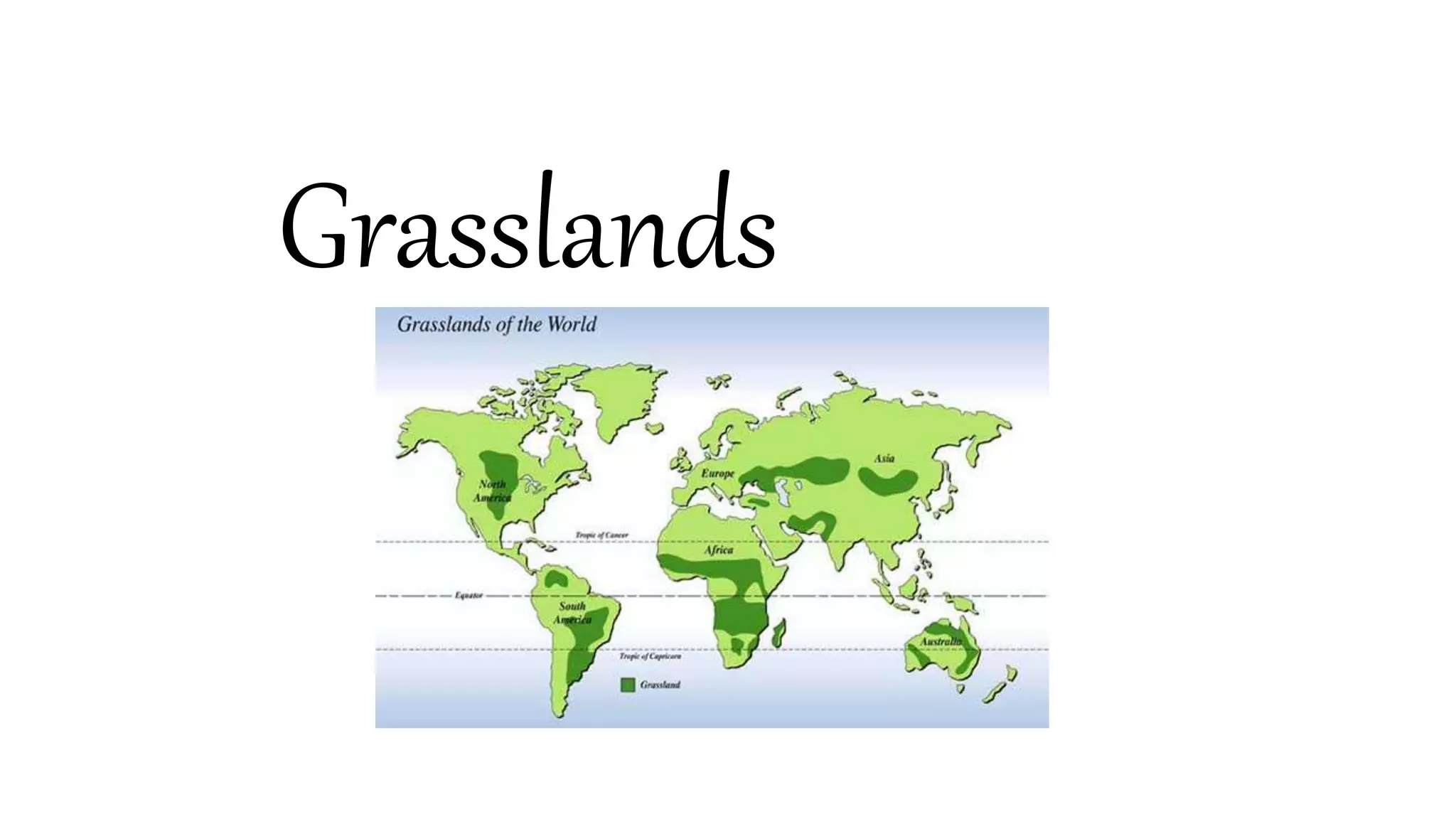 Habitats wetlands grasslands- deserts | PPT