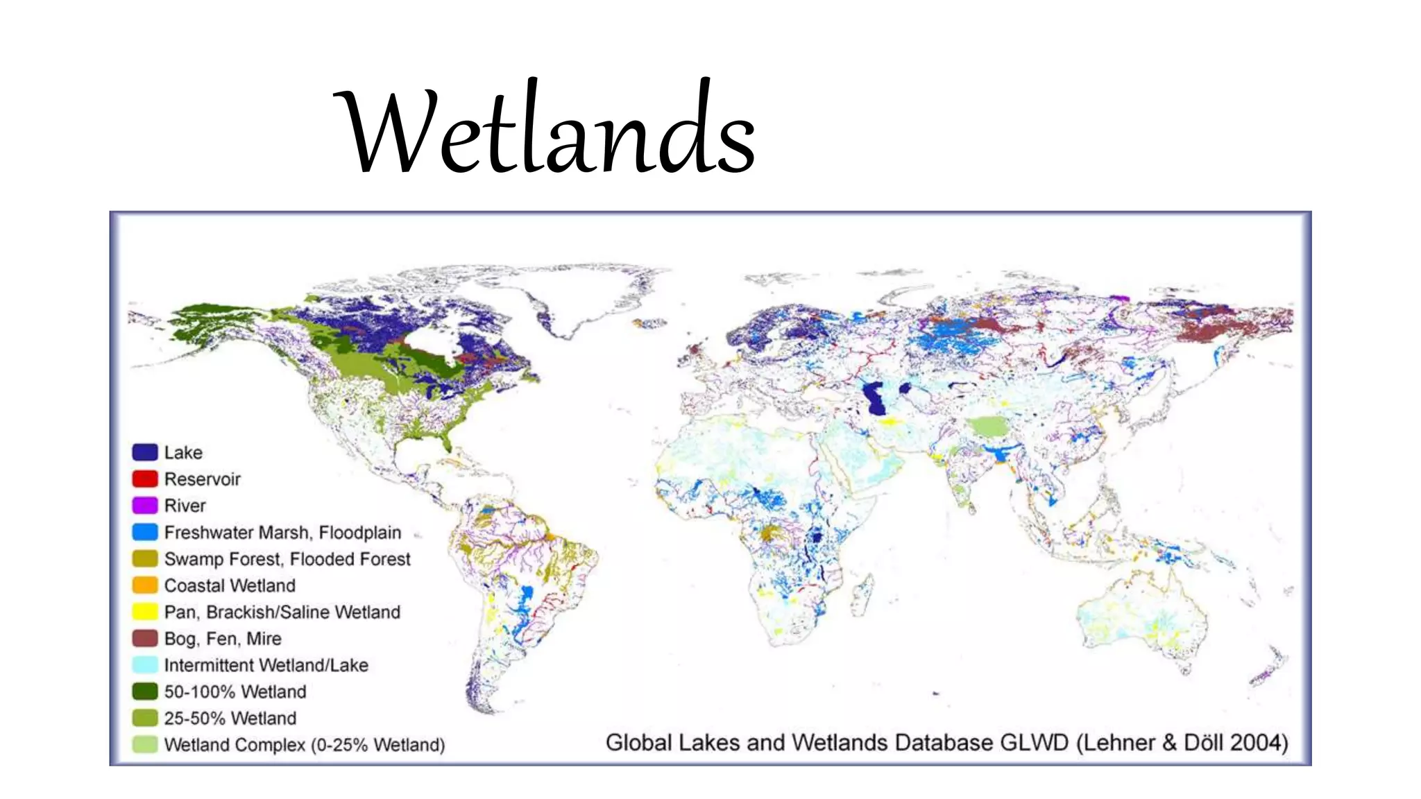 Habitats wetlands grasslands- deserts | PPT