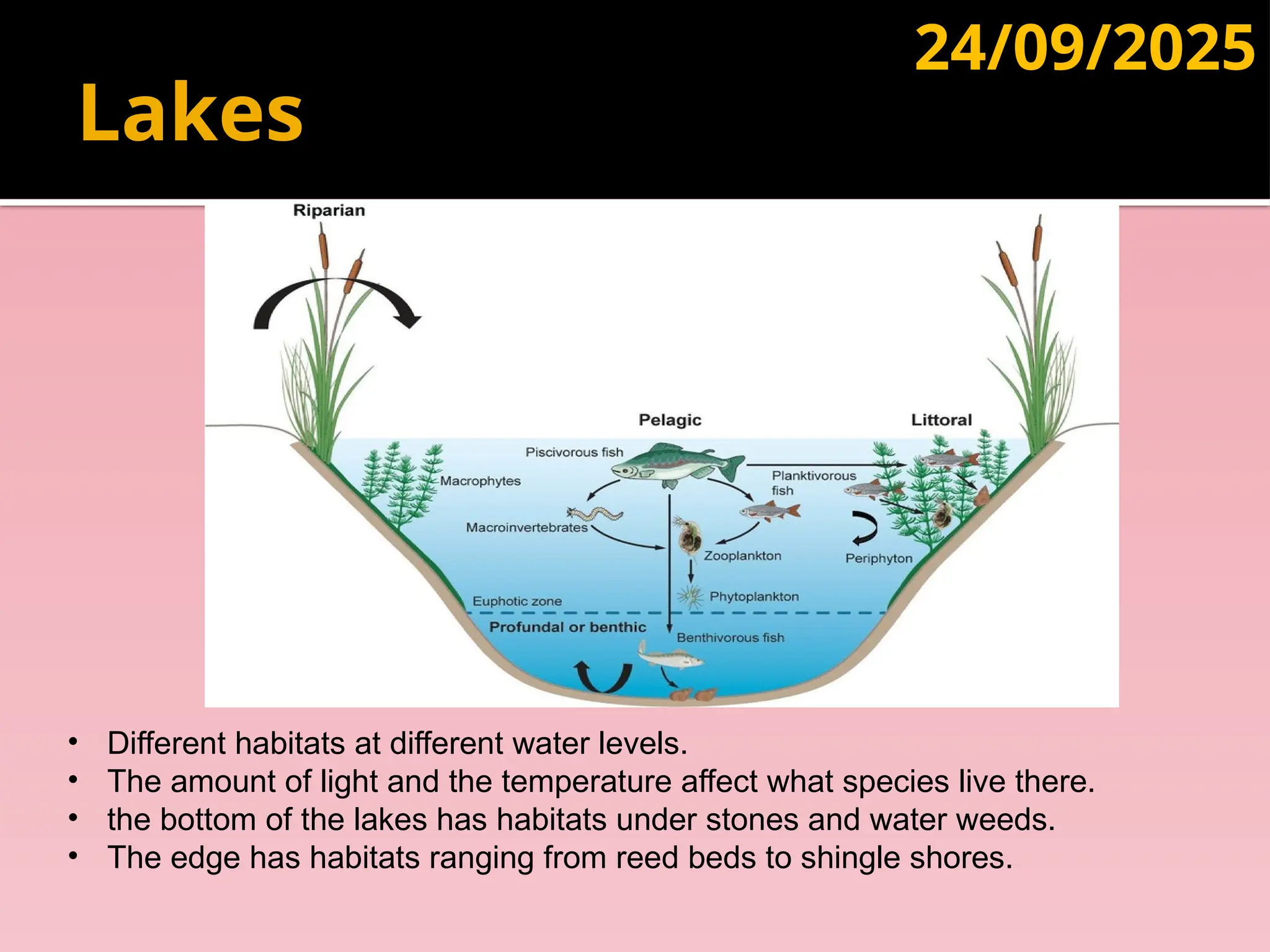 Habitats within an ecosystem. (biology)pptx | PPTX