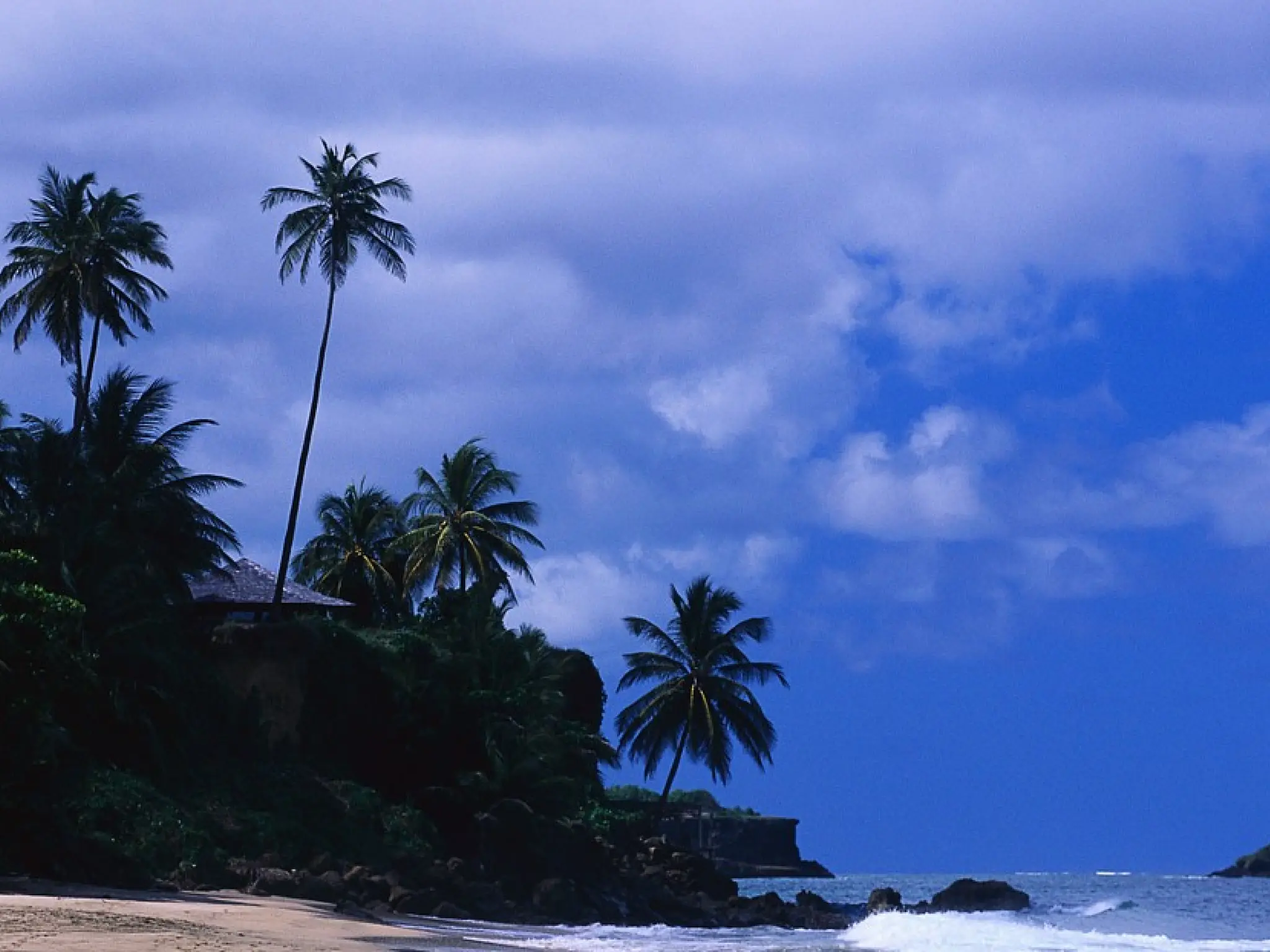 Habitats within an ecosystem. (biology)pptx | PPTX