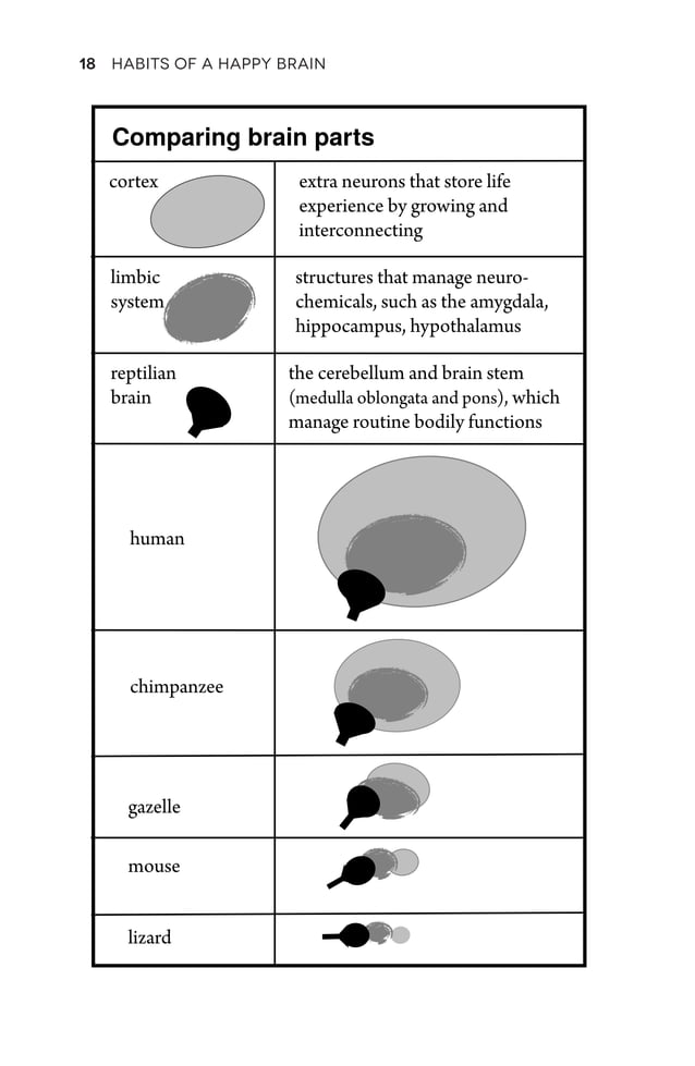Habits-of-a-Happy-Brain-by-Loretta-Graziano-BreuningPhD.pdf