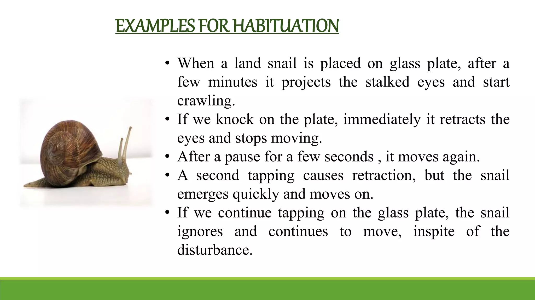 Habituation | PPTX