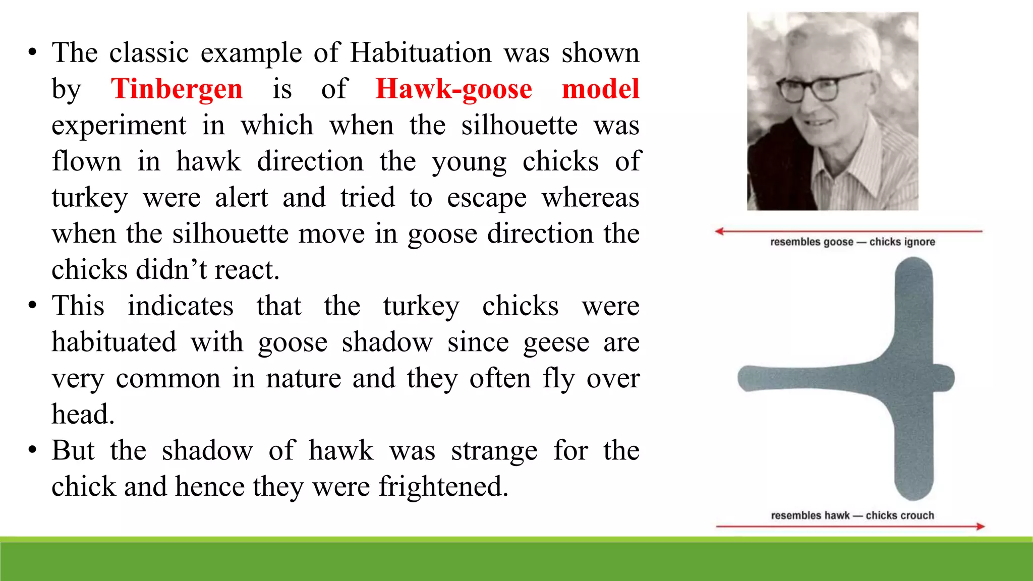Habituation | PPTX