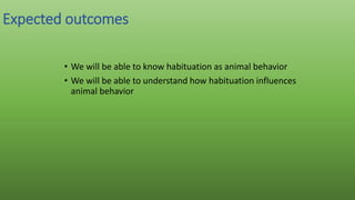 Habituation in Animlas | PPTX | Dogs | Pets