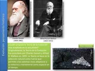 Hablemos de evolución presentación | PDF
