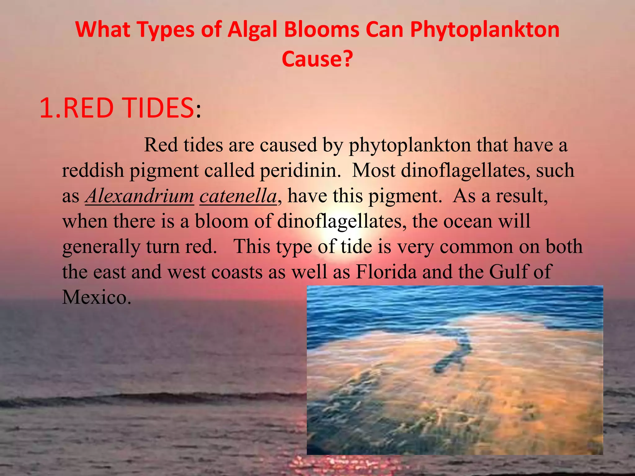 harmful algal bloom (HAB) Slide share ashish sahu sahu81862@gmail.com
