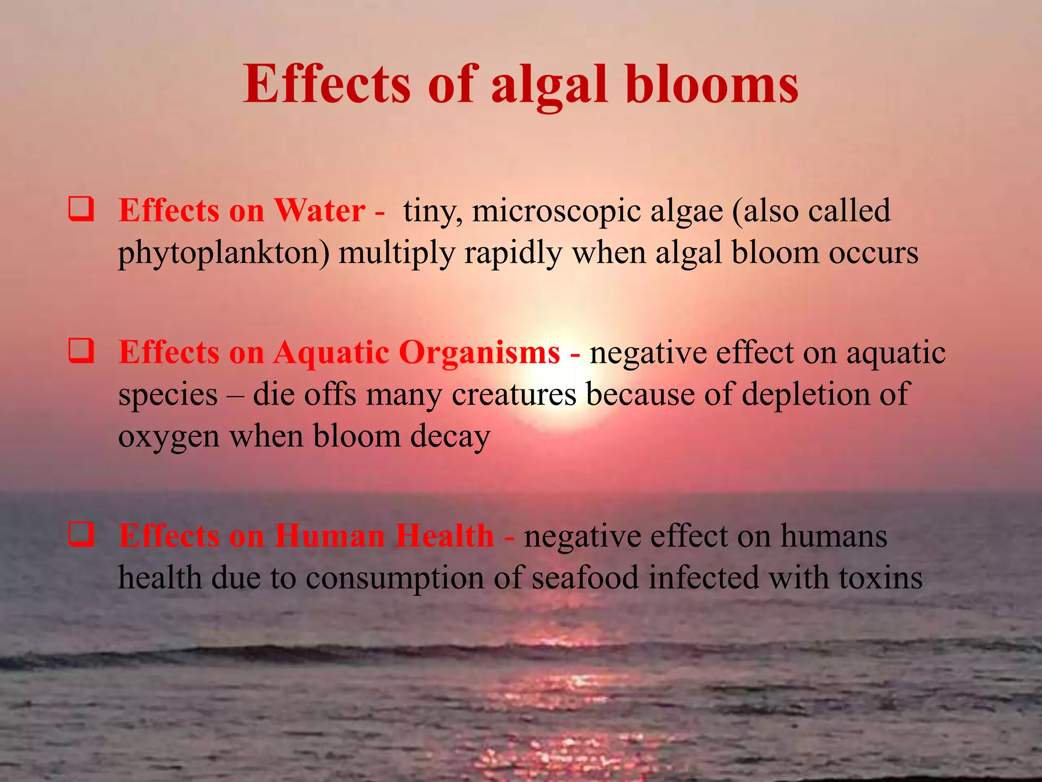 harmful algal bloom (HAB) Slide share ashish sahu sahu81862@gmail.com