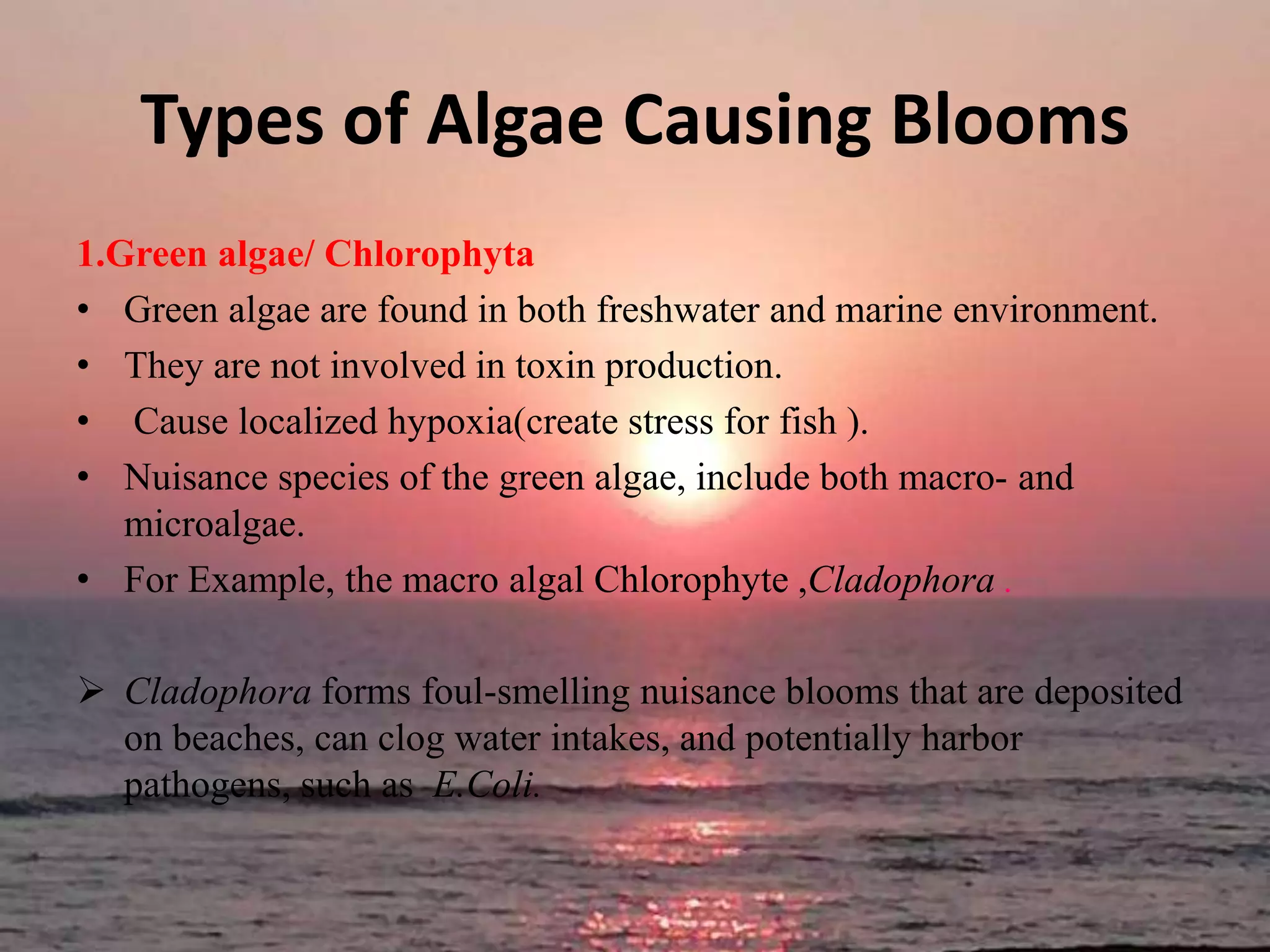 harmful algal bloom (HAB) Slide share ashish sahu sahu81862@gmail.com