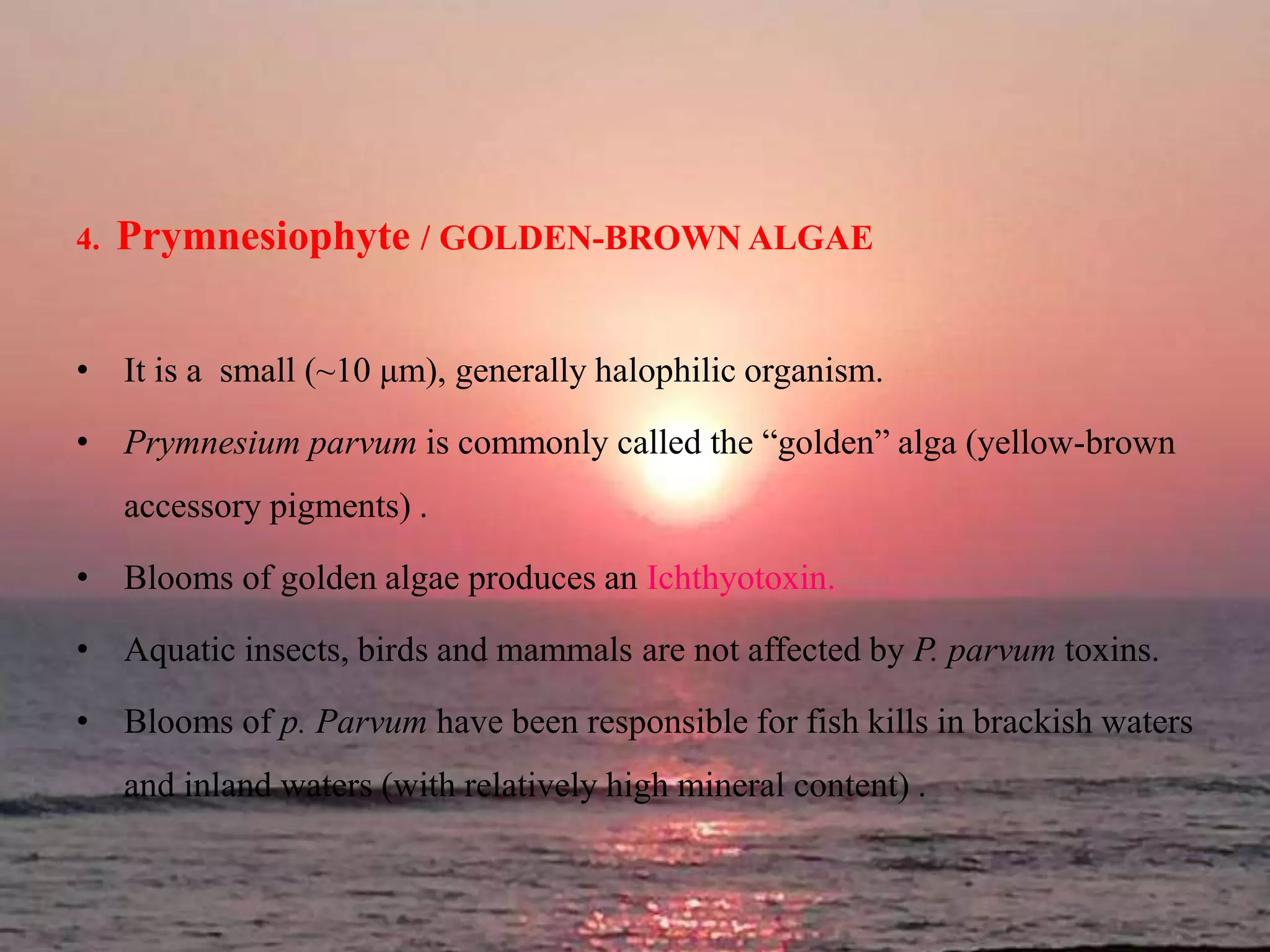 harmful algal bloom (HAB) Slide share ashish sahu sahu81862@gmail.com