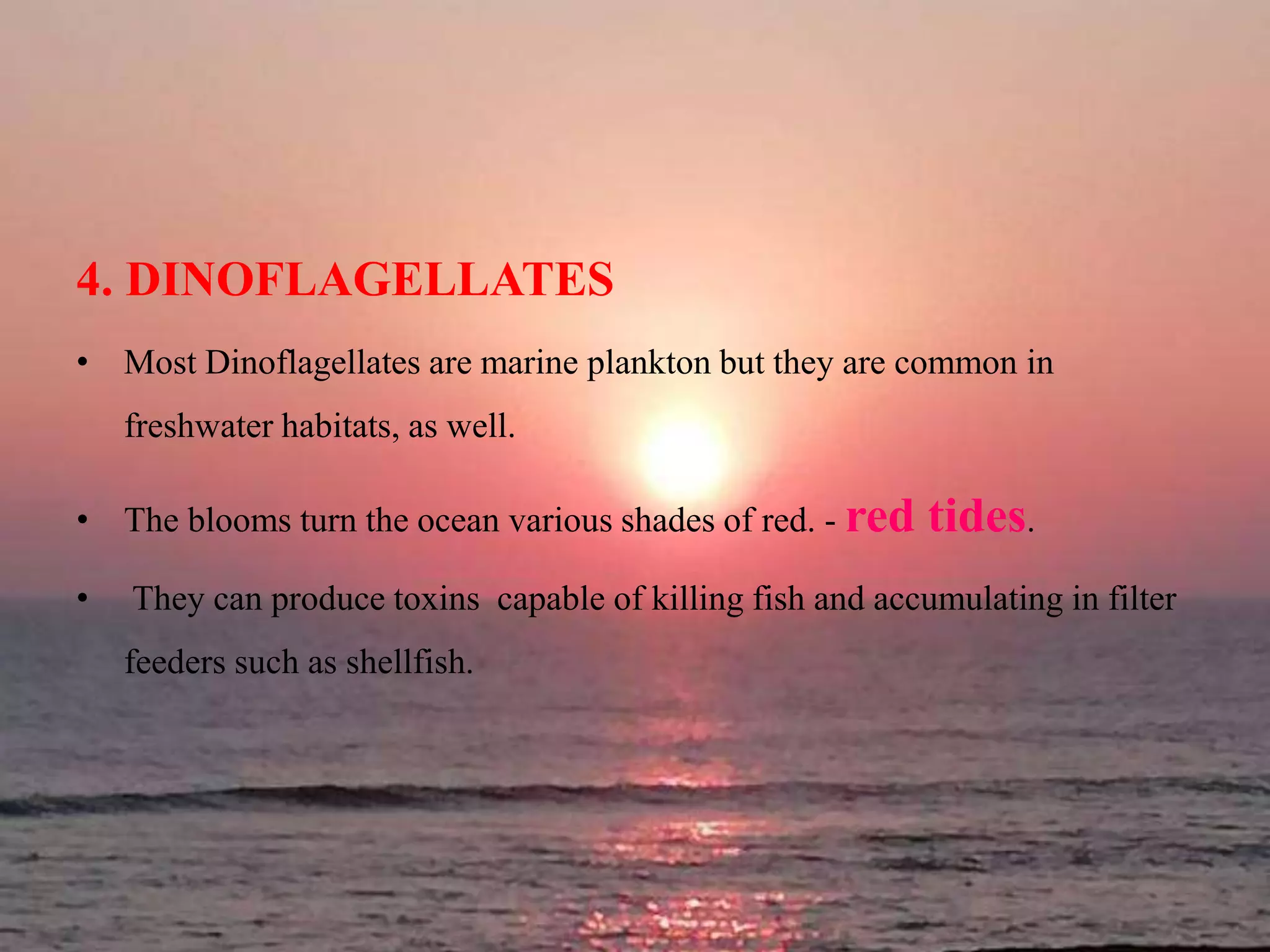harmful algal bloom (HAB) Slide share ashish sahu sahu81862@gmail.com