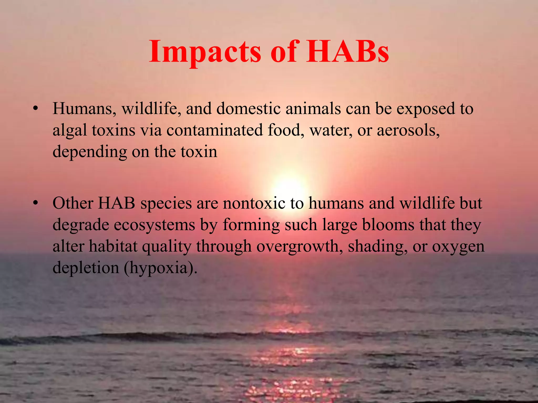 harmful algal bloom (HAB) Slide share ashish sahu sahu81862@gmail.com