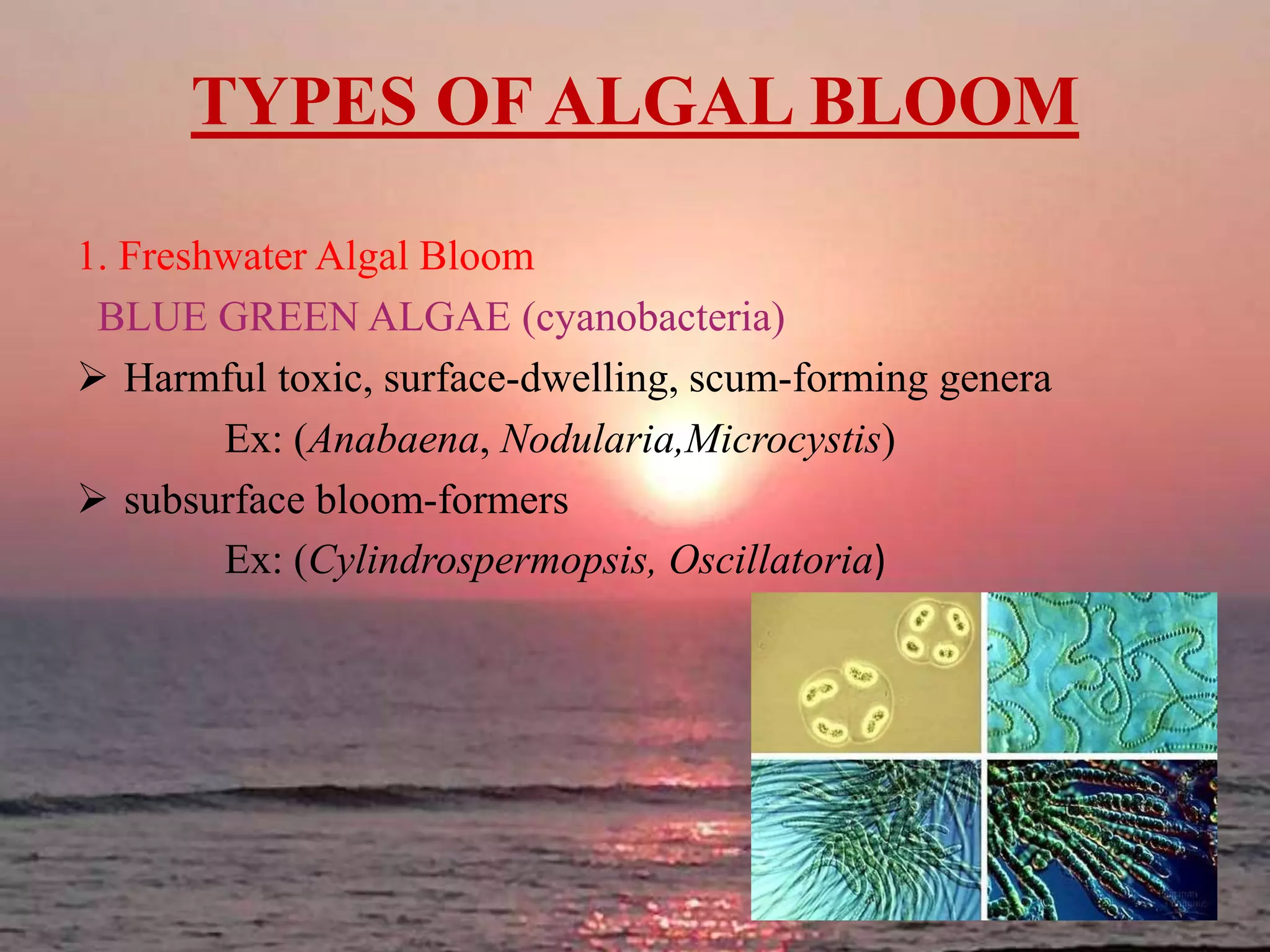 harmful algal bloom (HAB) Slide share ashish sahu sahu81862@gmail.com
