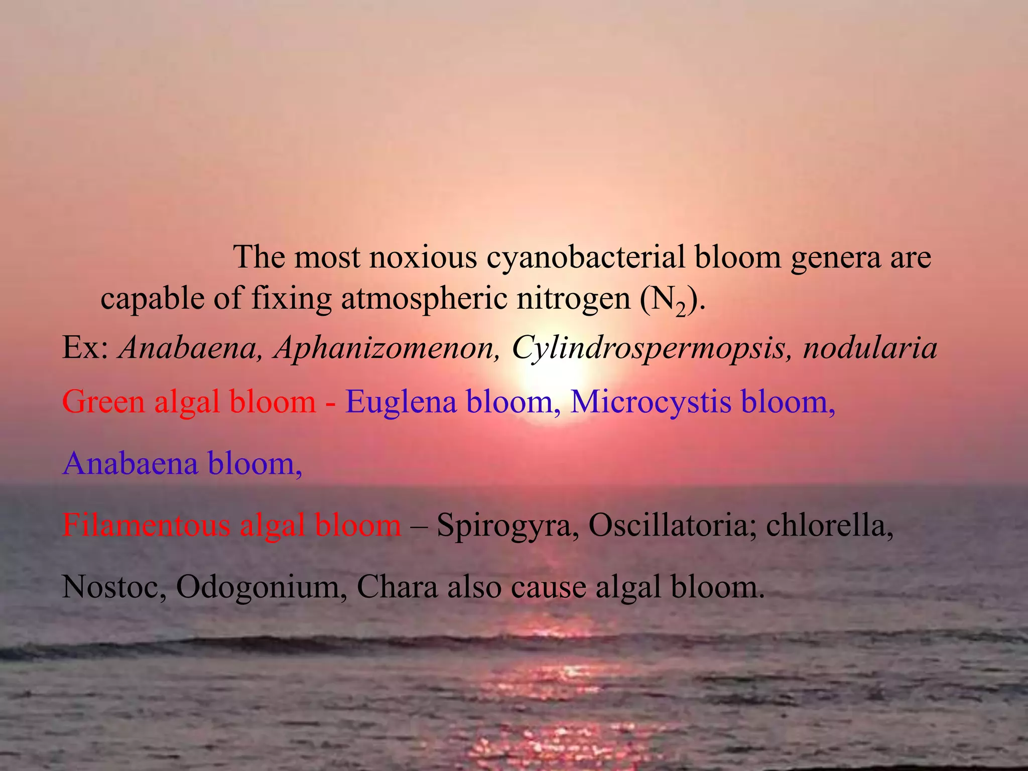 harmful algal bloom (HAB) Slide share ashish sahu sahu81862@gmail.com