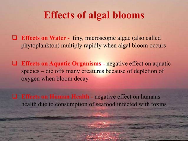 harmful algal bloom (HAB) Slide share ashish sahu sahu81862@gmail.com