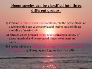 harmful algal bloom (HAB) Slide share ashish sahu sahu81862@gmail.com