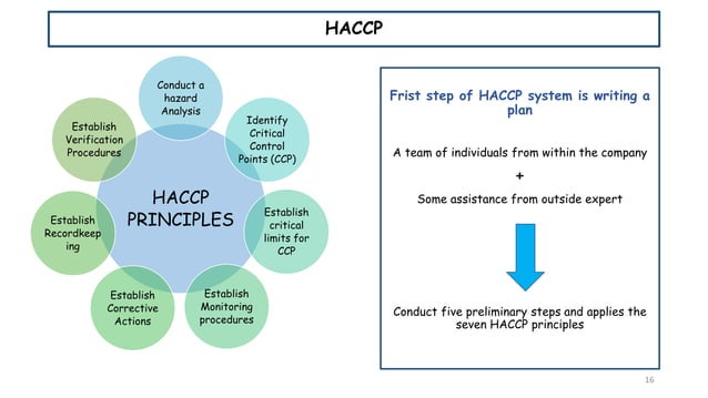 ISO 22000 & HACCP | PPTX | Food Industry | Industries