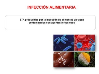 HACCP en los alimentos y producción alimentos | PDF