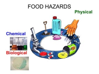 HACCP - Training Module.pptx