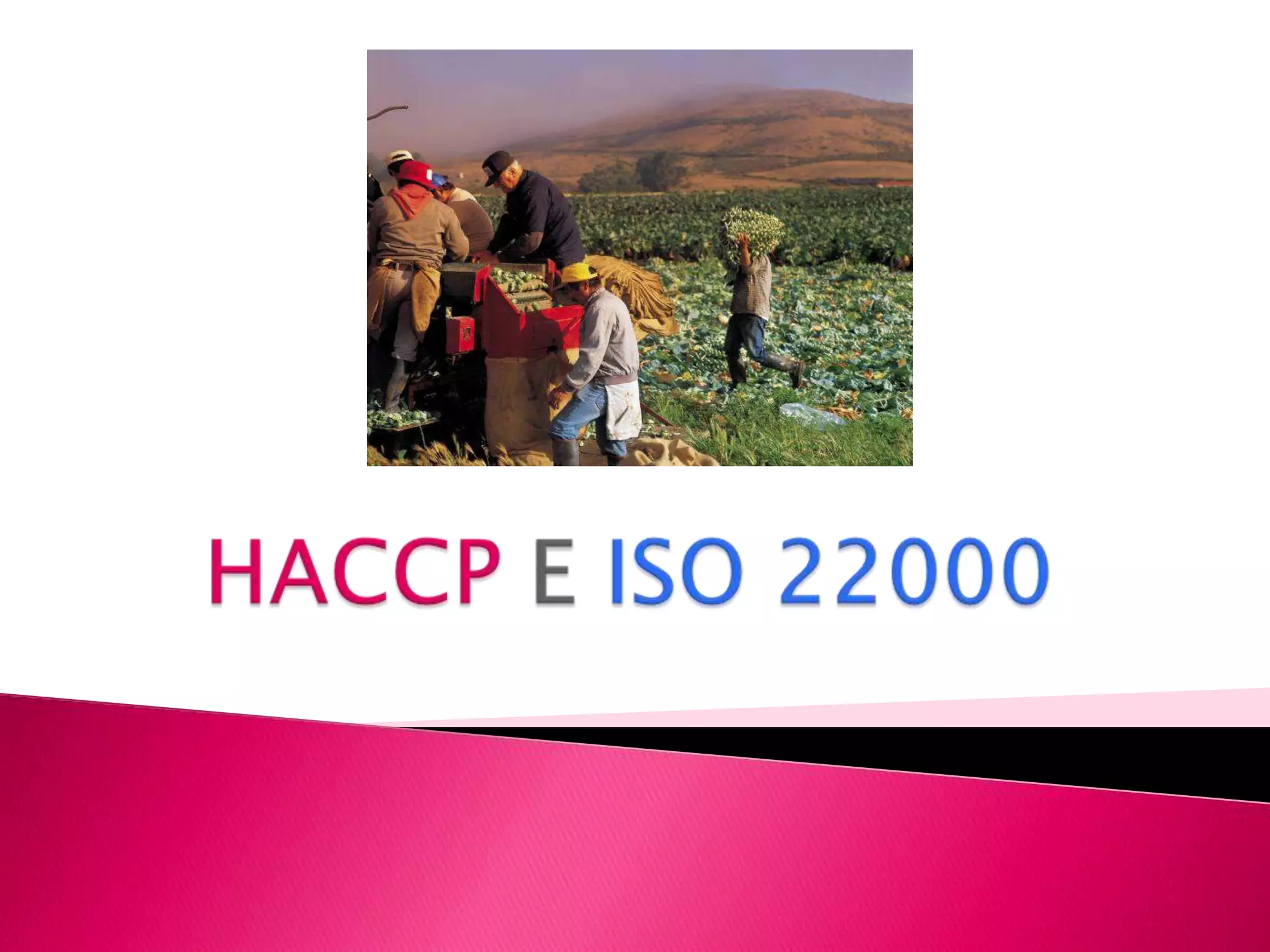 Haccp e iso 22000 | PPTX | Food & Drink