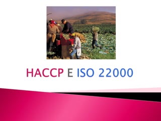 Haccp e iso 22000 | PPTX | Food & Drink