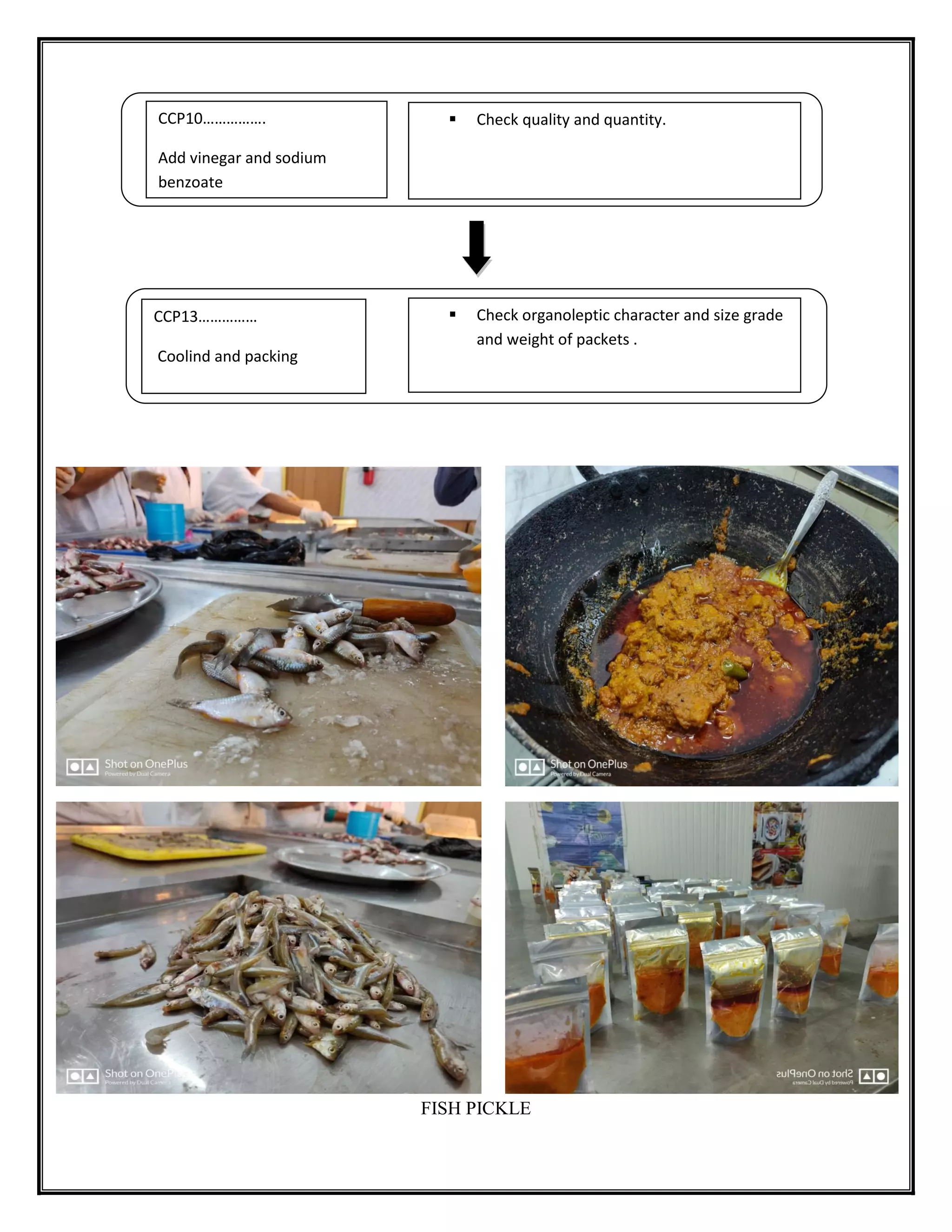 HACCP protocol for various Fish products | PDF