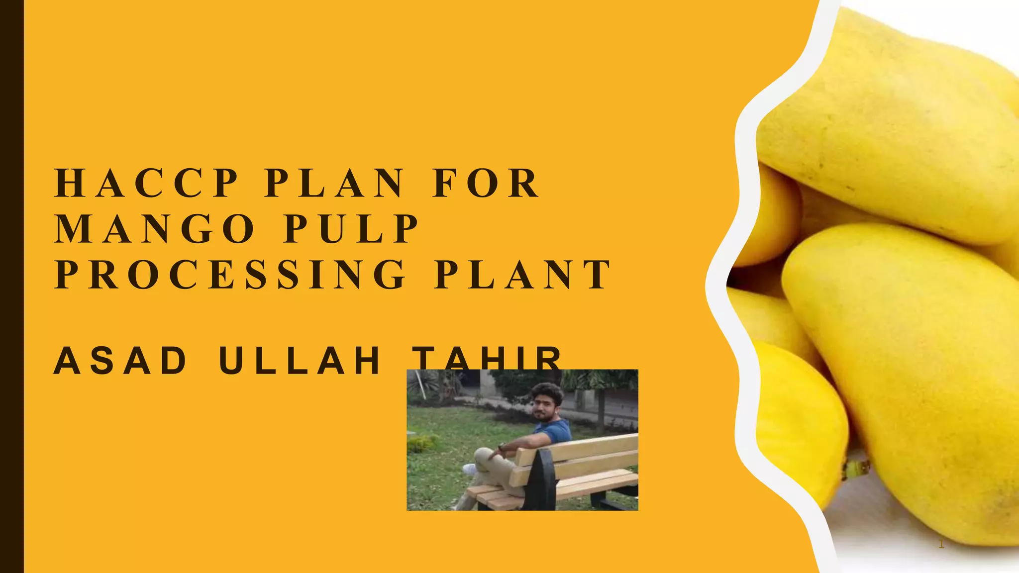 HACCP for Mango Pulp Processing plant | PPTX