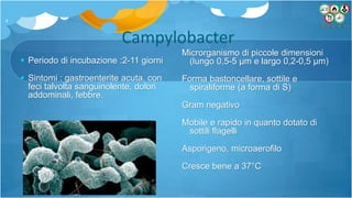 Haccp patogeni emergenti | PPT