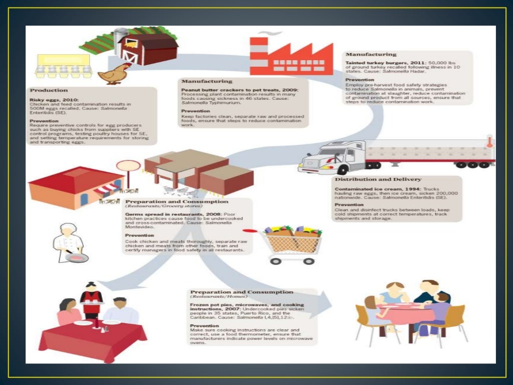 Haccp Analysis The Flow Of Food