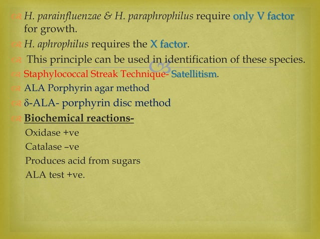 Hacek | PPTX | Dental Health | Diseases and Conditions
