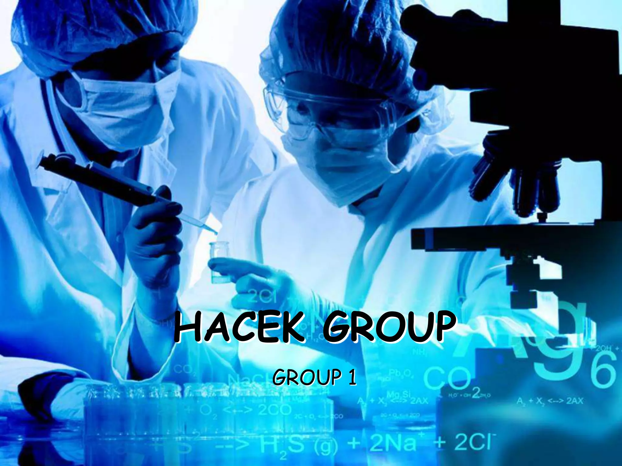 Hacek report iin bacte | PPTX