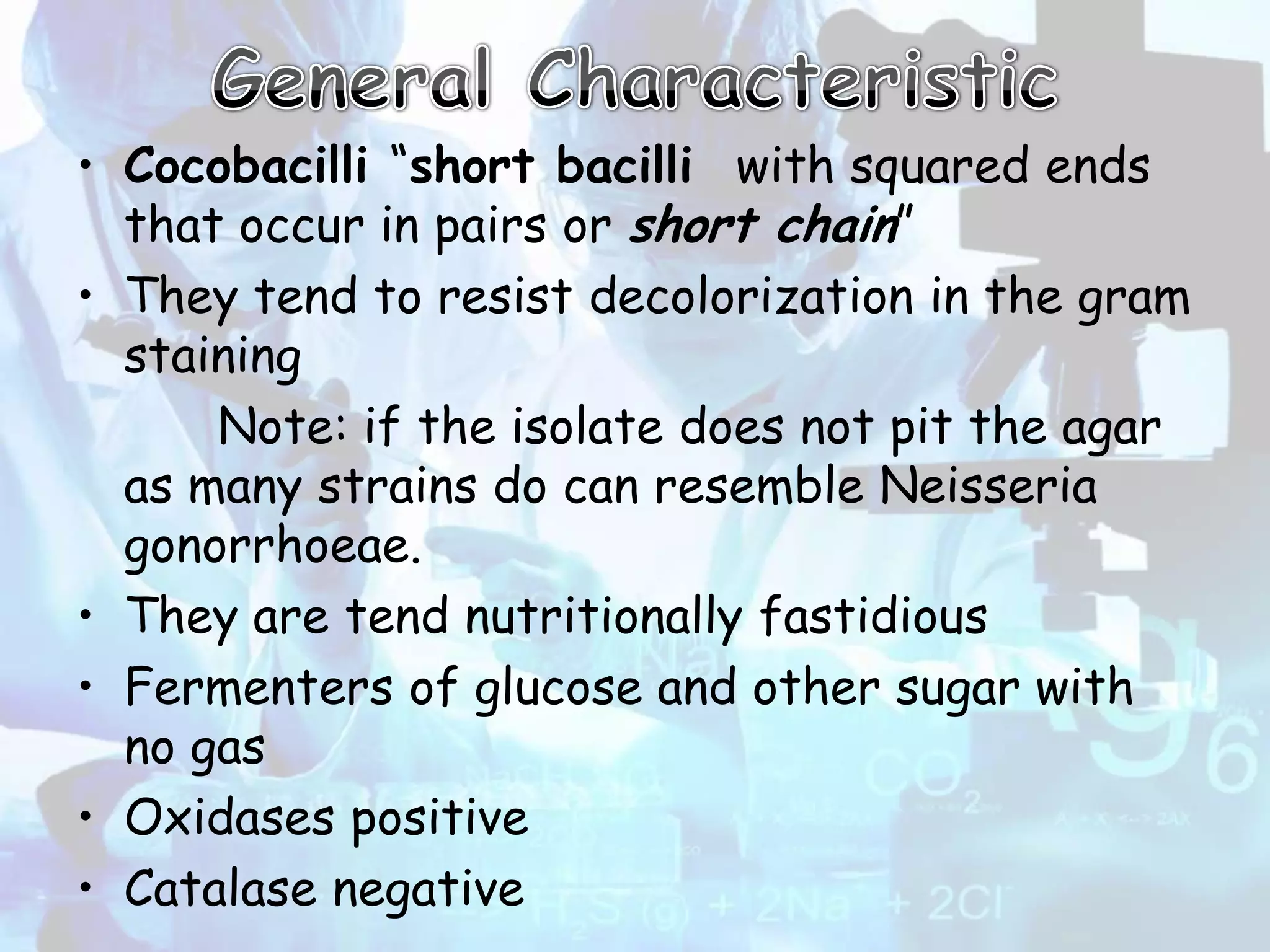 Hacek report iin bacte | PPTX