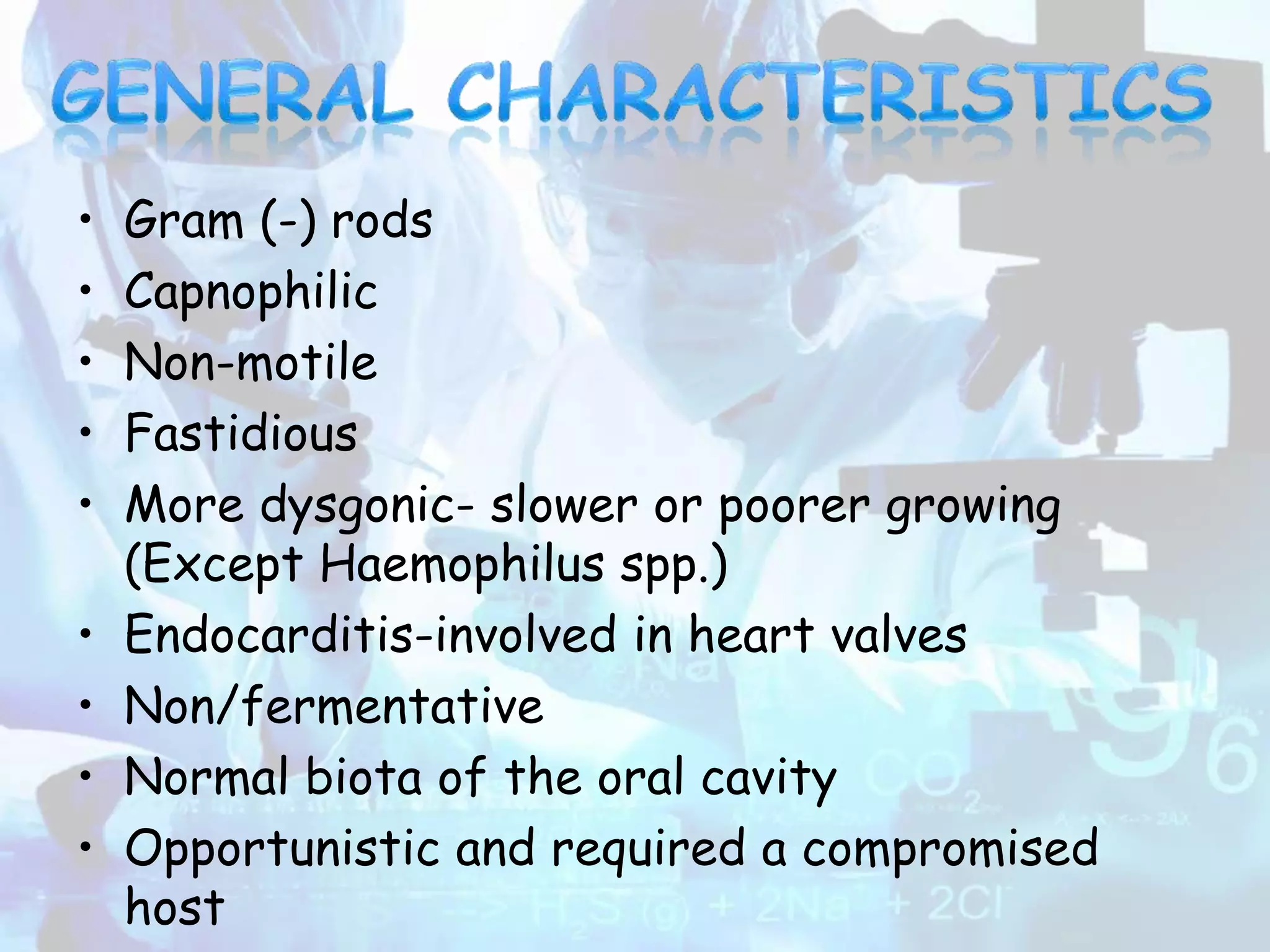 Hacek report iin bacte | PPTX