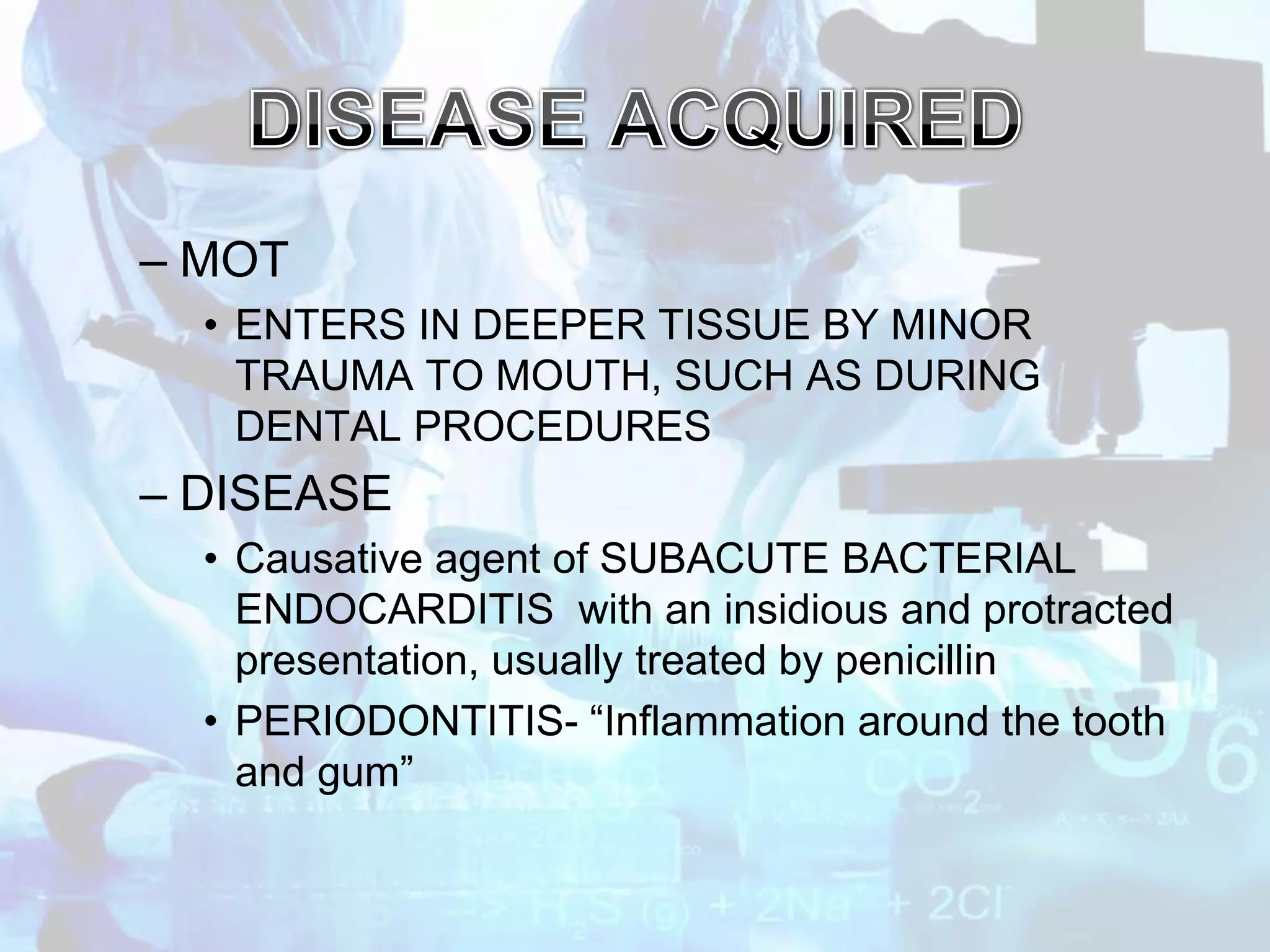Hacek report iin bacte | PPTX