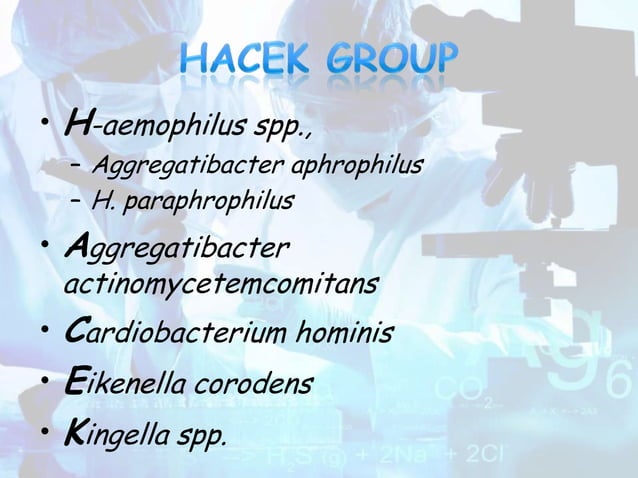 Hacek report iin bacte | PPTX