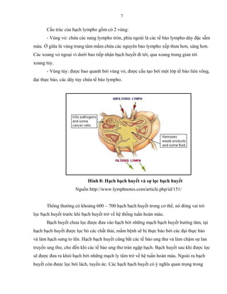 Hach dau-mat-co | PDF